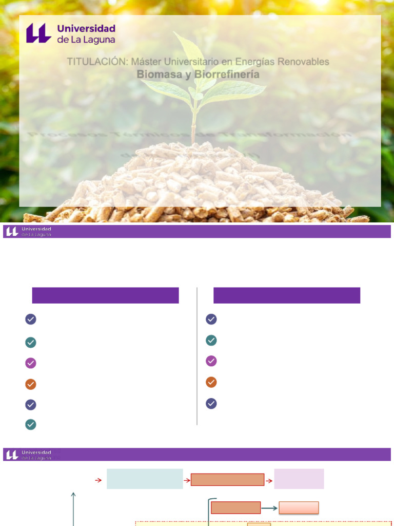 Tema 5 - Procesos Termoquímicos de Transformación de La Biomasa (I) | PDF | Pirólisis | Biomasa