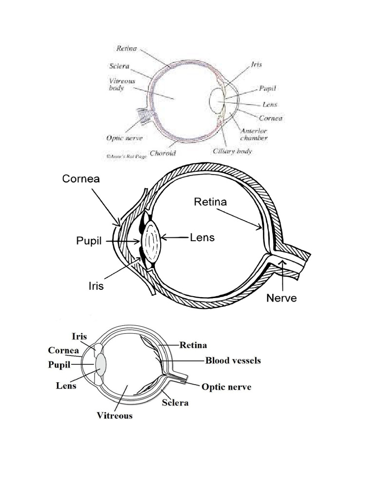 Eye Diagram | PDF