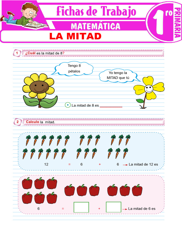 Ejercicios de la Mitad para Primer Grado | PDF