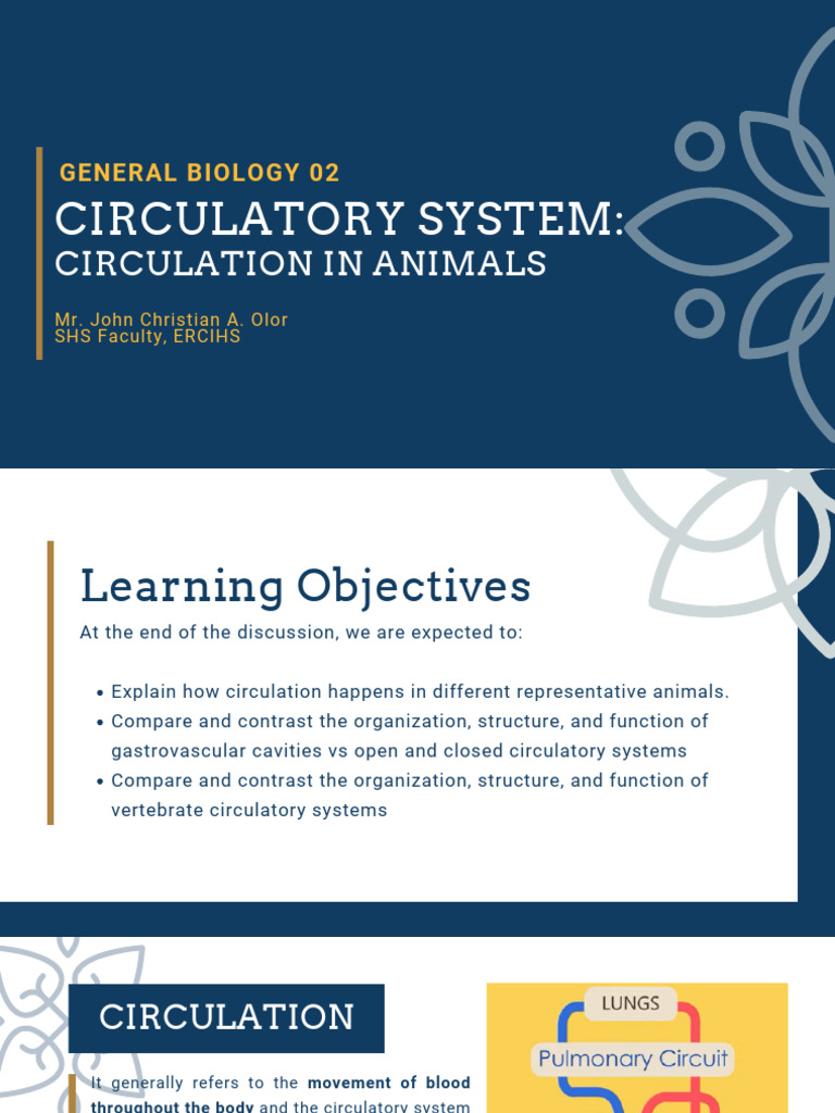 Circulatory Systems in Animals | PDF | Circulatory System | Heart