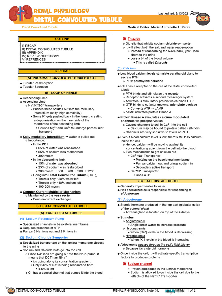 Distal Convoluted Tubule | PDF | Cell Biology | Biochemistry