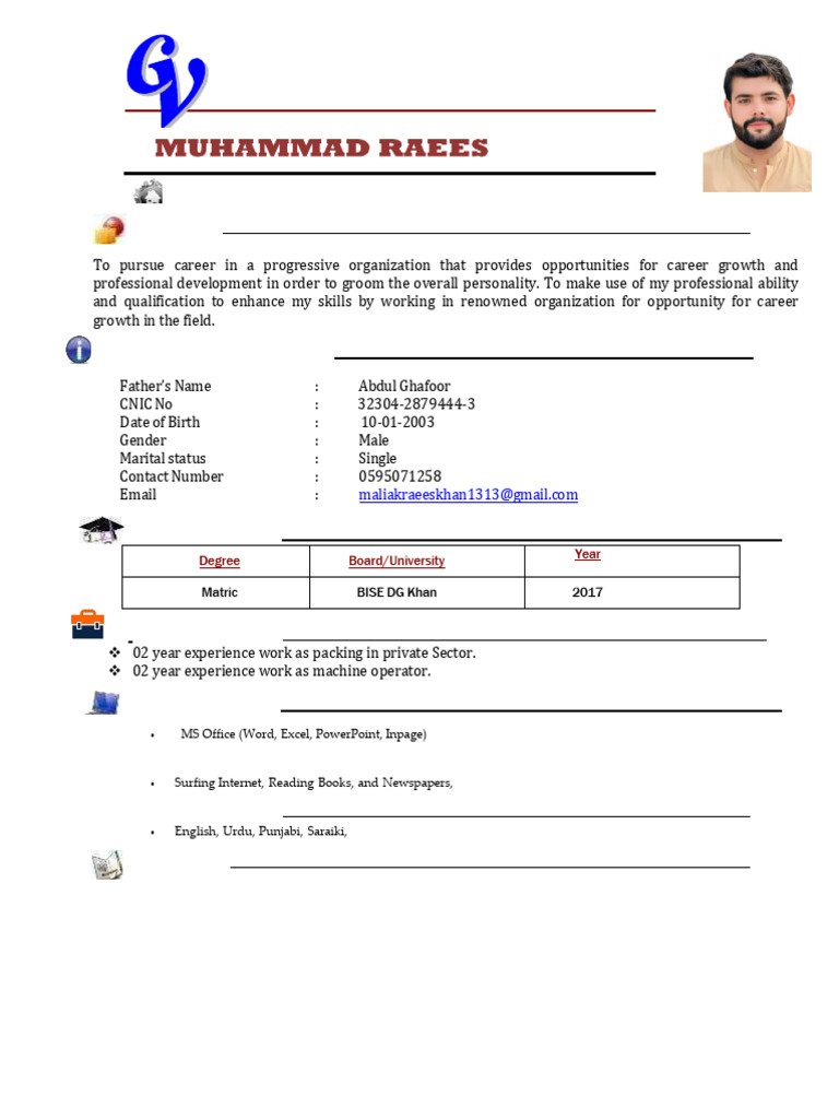 Raees CV | PDF