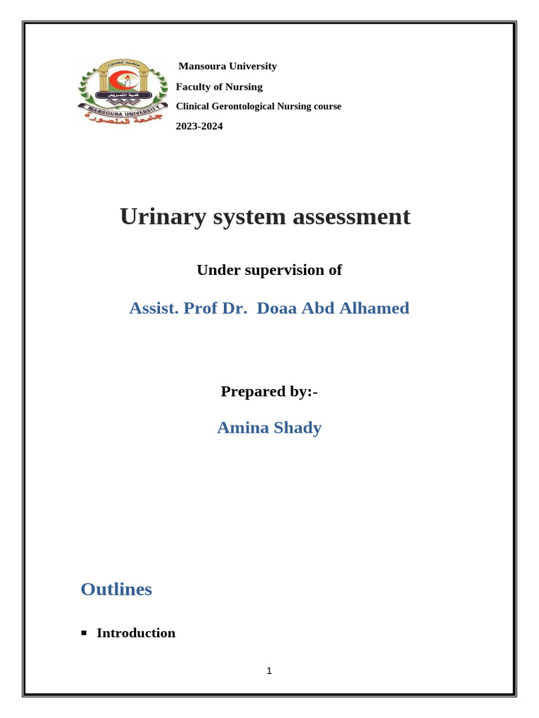 Urinary System Assessment | PDF | Urinary Incontinence | Urinary Tract ...