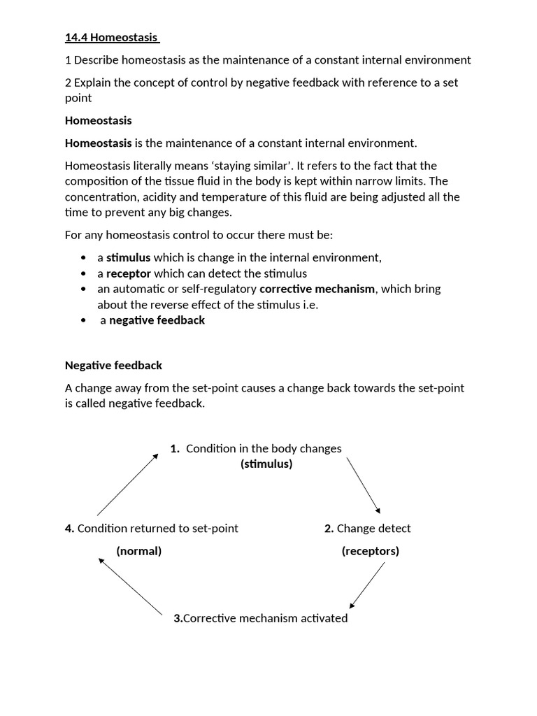 Homeostasis | PDF