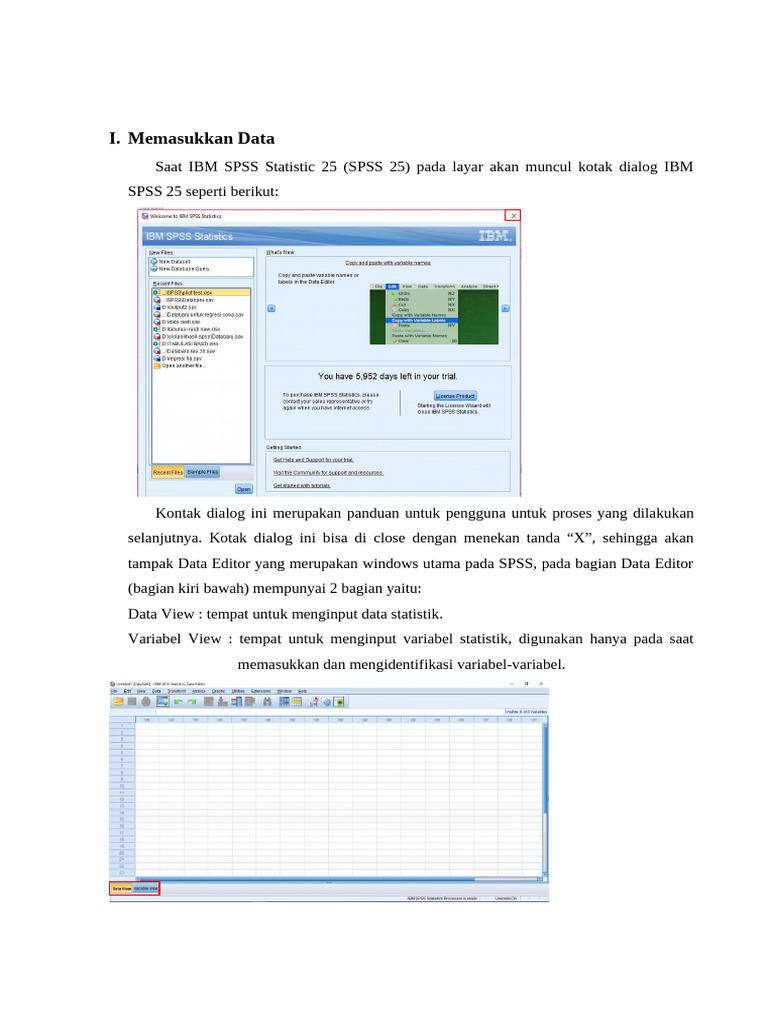 Memasukkan, Mendefinisikan Variabel Dan Menyimpan Data Dengan SPSS | PDF