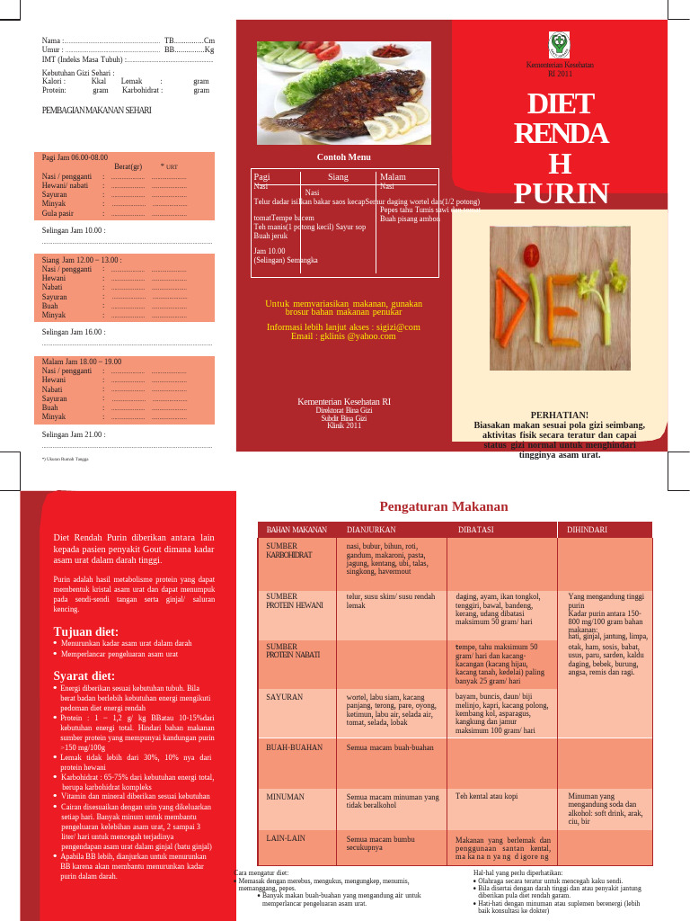 Kementerian Kesehatan RI DIET RENDAH PUR | PDF