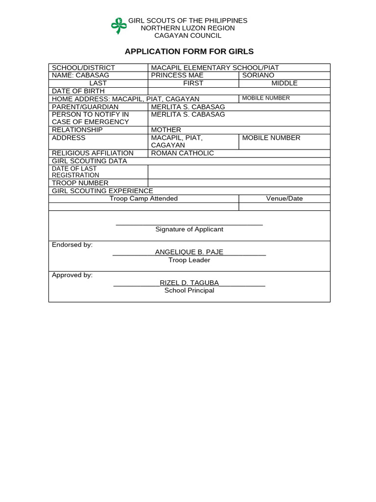 Applicationparent Consent Health Form | PDF | Respiratory Diseases | Medicine