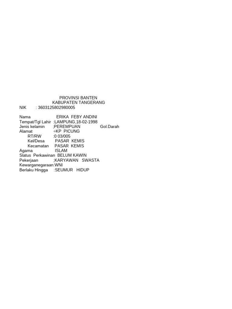 WPS Office Scan 20250409 151909 (OCR) | PDF