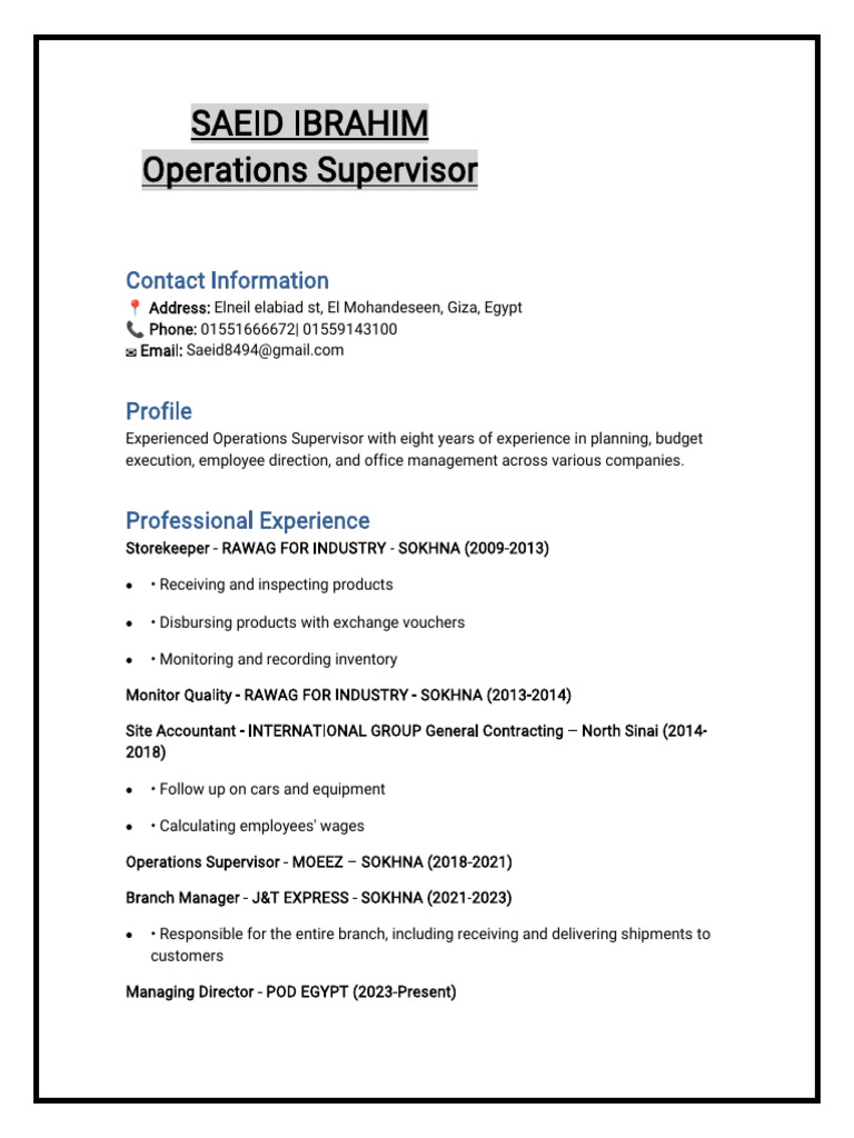 Saeid Ibrahim CV | PDF
