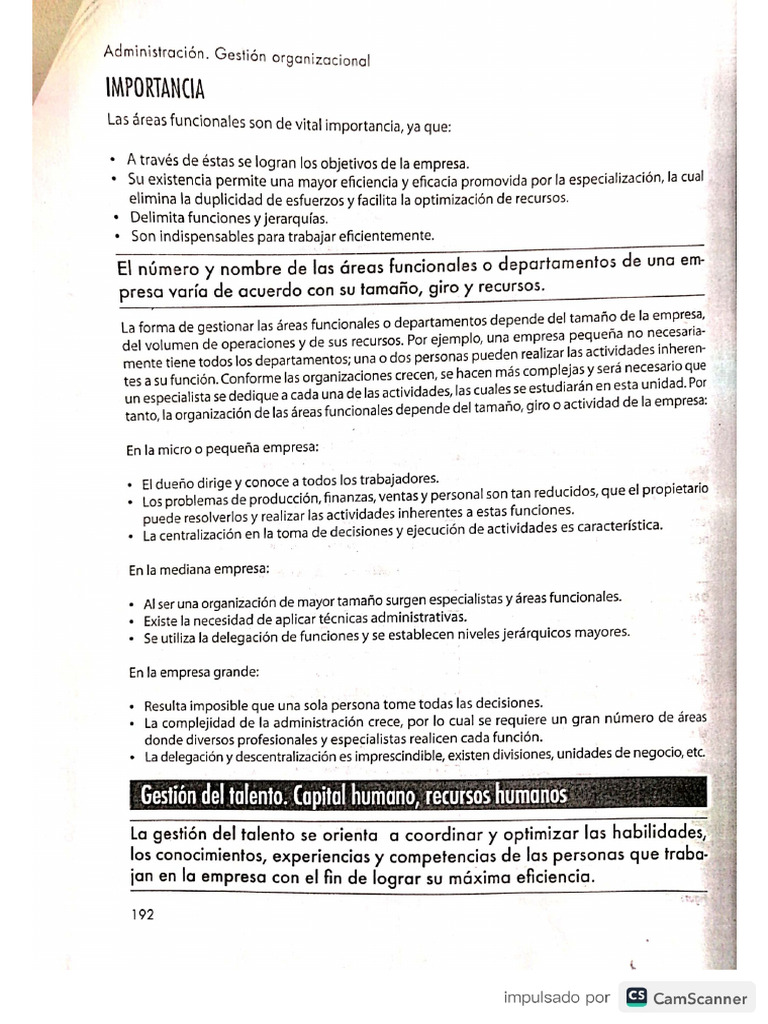 Áreas Funcionales | PDF