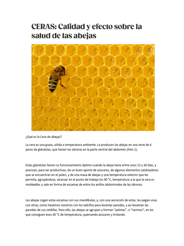 Cera..Calidad y Efectos en Las Abejas | PDF | Colmena | Abejas