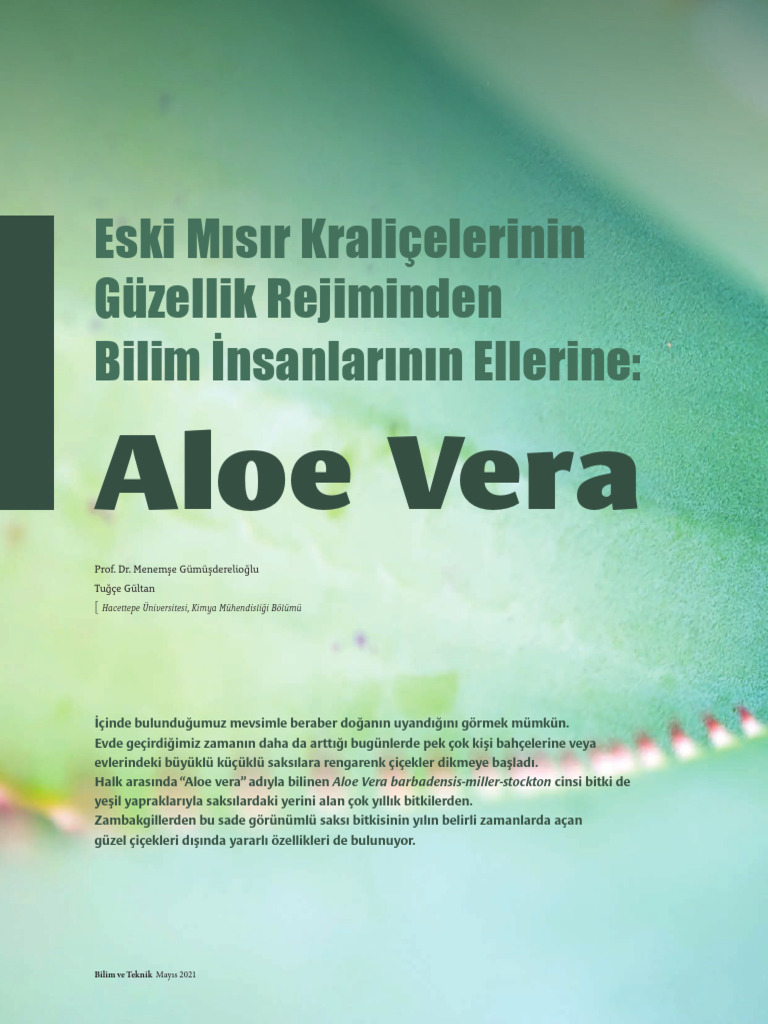 Aloe Vera | PDF