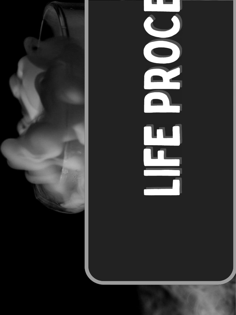 Life Process | PDF