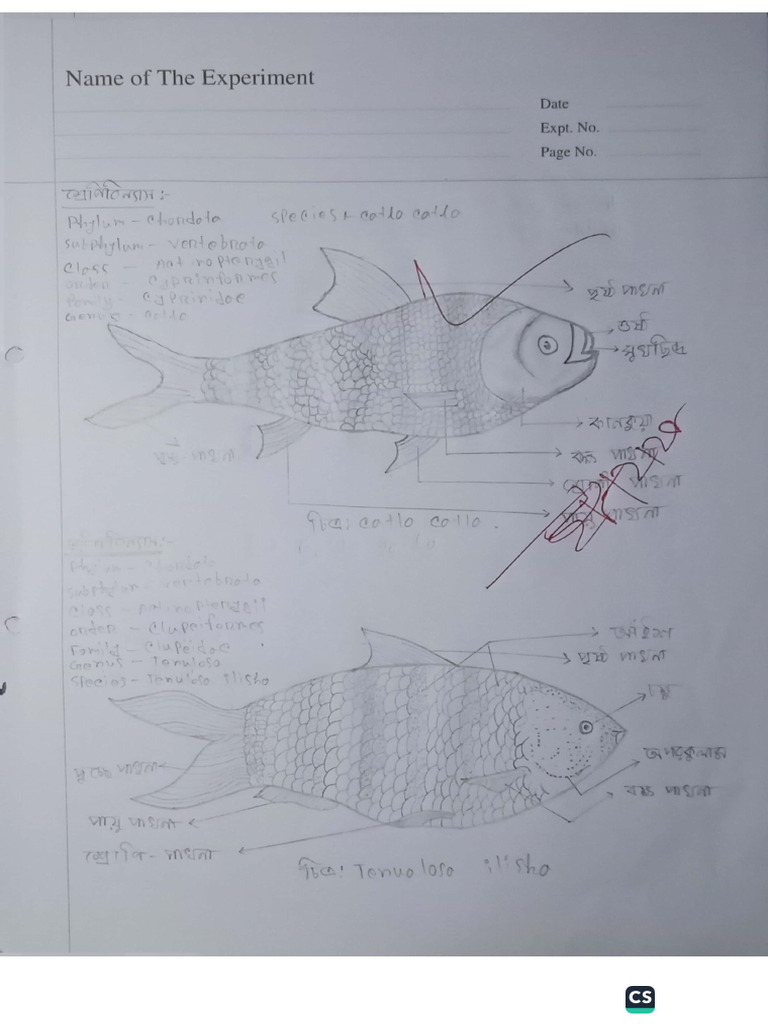 Biology 2nd Paper Practical | PDF