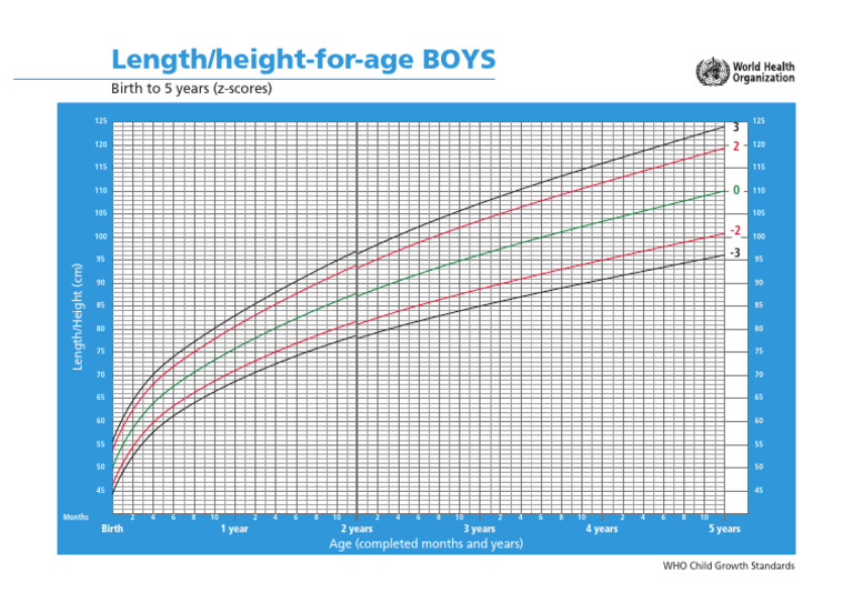Height-for-Age Standards for Boys | PDF