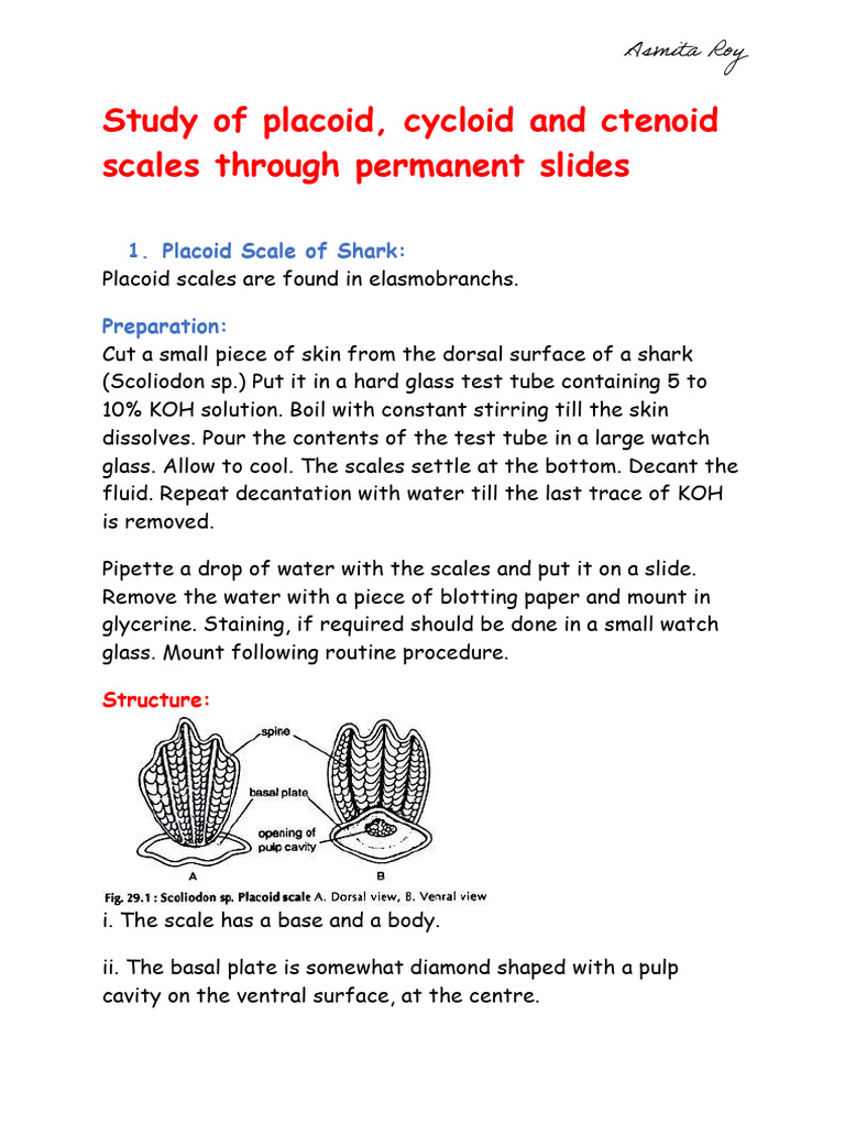 Study of Fish Scales: Placoid, Cycloid, Ctenoid | PDF
