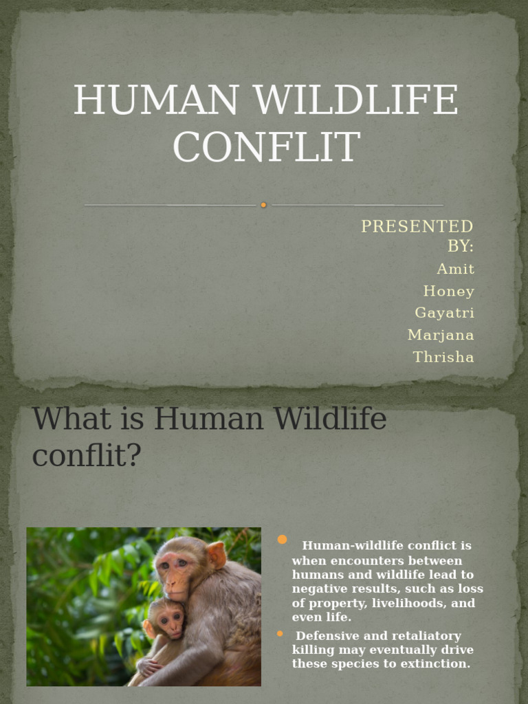 Human Wildlife Conflict | PDF | Pollution | Ivory
