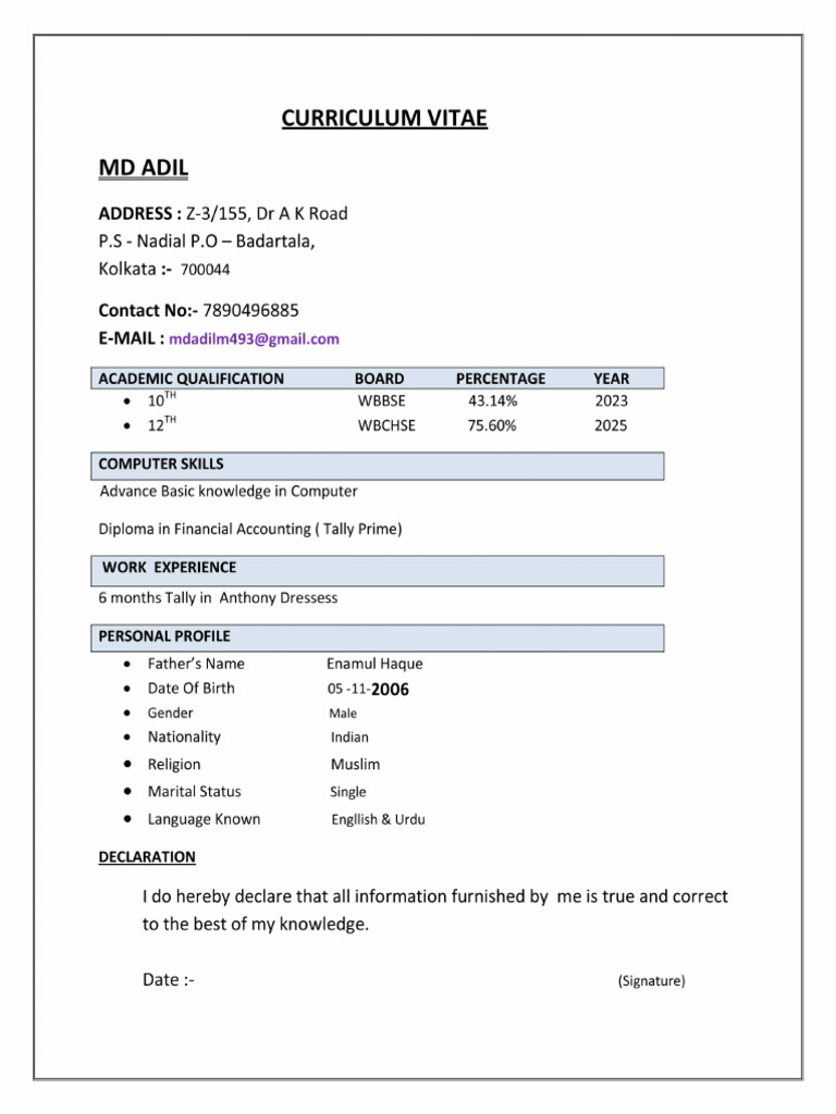 Adil CV | PDF