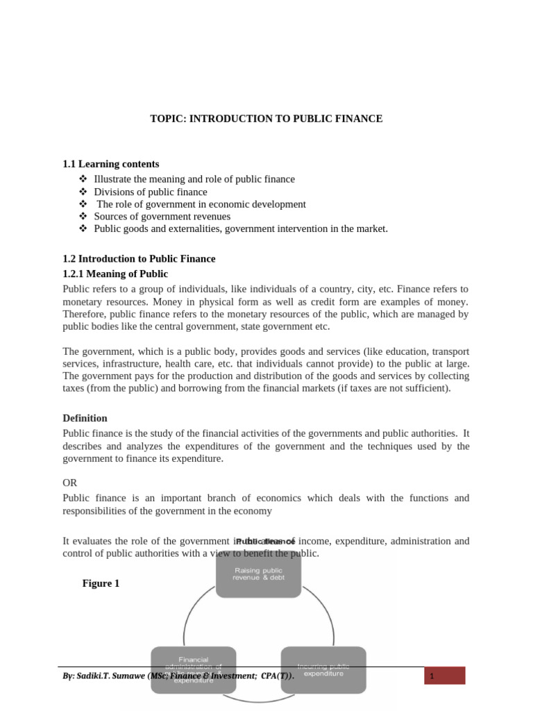 Introduction To Public Finance | PDF | Public Finance | Emissions Trading