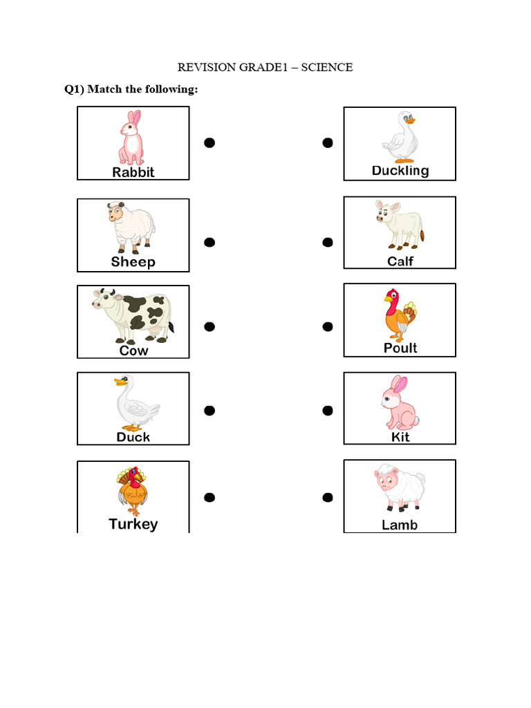 Revision Grade1 Science Sem2 | PDF