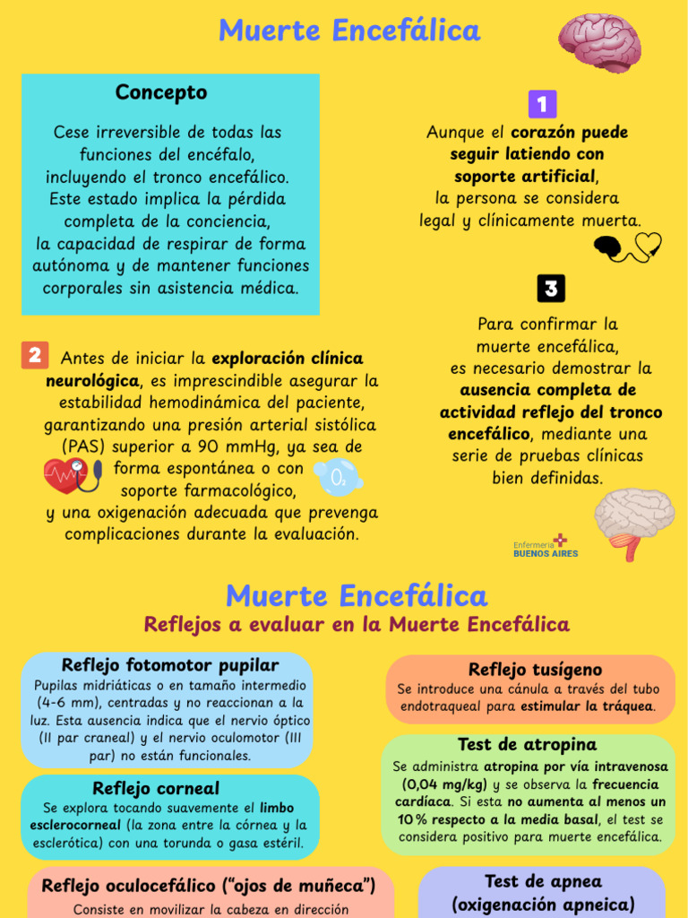 Muerte Encefálica: Diagnóstico y Pruebas | PDF | Sistema nervioso ...