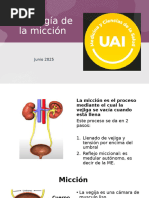 Reflejo de Micción y su Fisiología | PDF | Micción | Vejiga urinaria