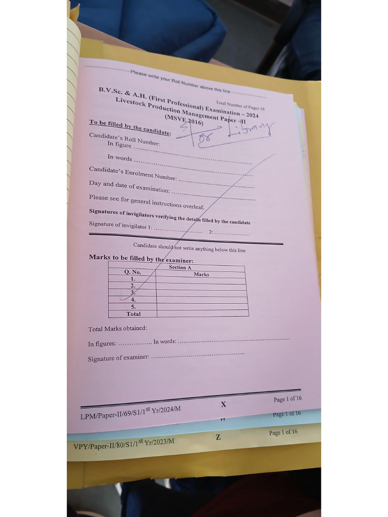 LPM External 2024 p2 | PDF