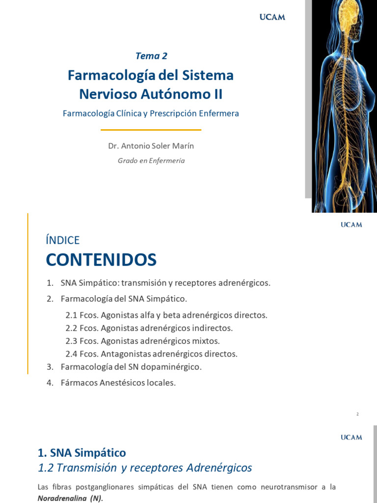 Tema 2 - 4 | PDF | Norepinefrina | Antidepresivo