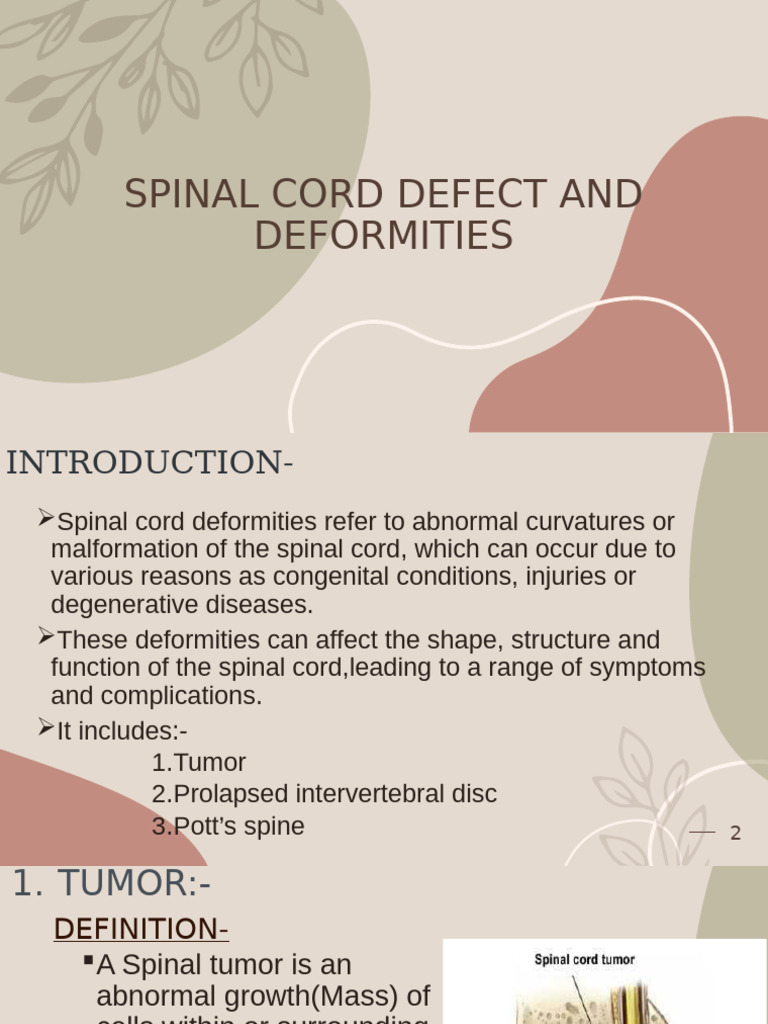 Spinal Column Defects | PDF | Vertebral Column | Diseases And Disorders