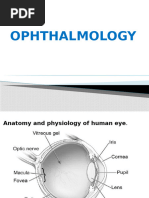 Sheep Eye Dissection Guide | PDF | Eye | Senses