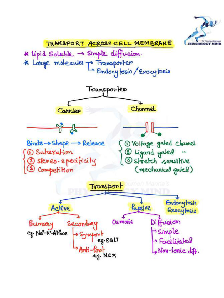 Transport Across Cell Membrane | PDF