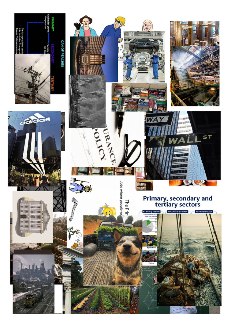 Business Collage | PDF