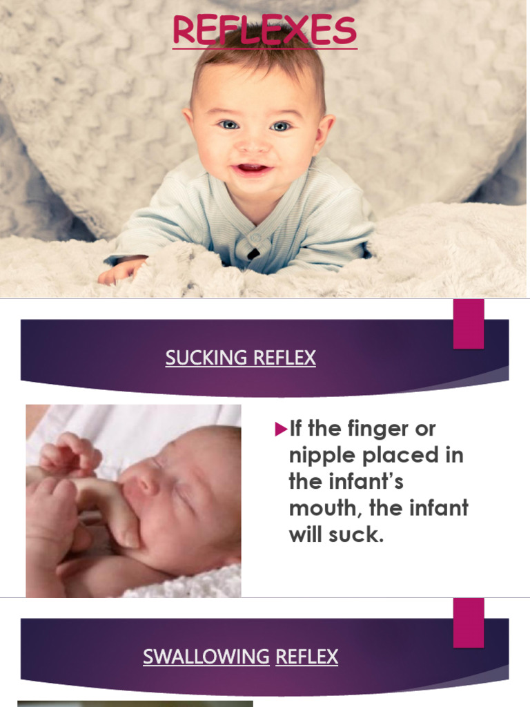 Lesson Seven - Part 2 | PDF | Reflexes | Neurophysiology