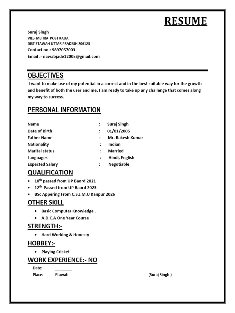 Suraj CV | PDF