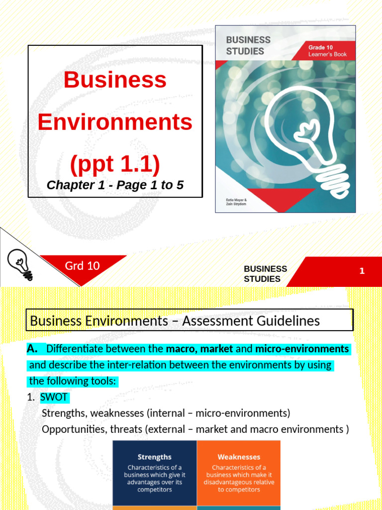 Business Environments Overview for Grd 10 | PDF | State Owned ...