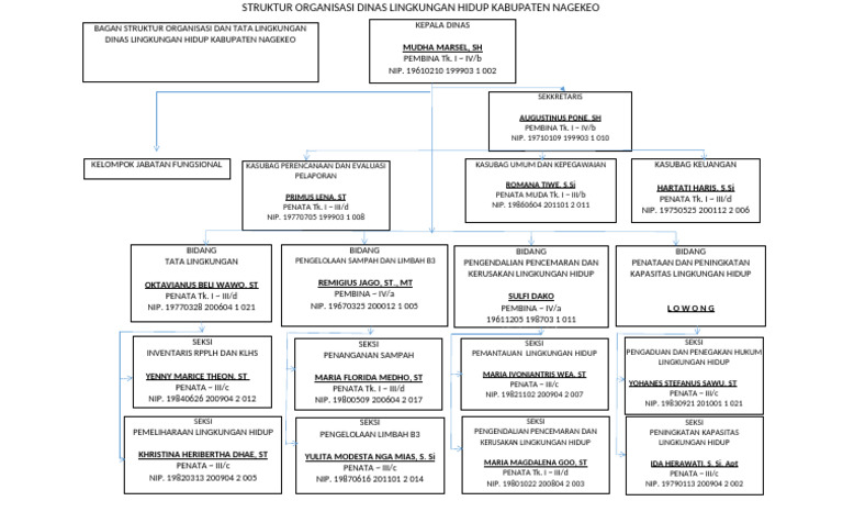 Struktur Organisasi DLH 2017 Revisi | PDF