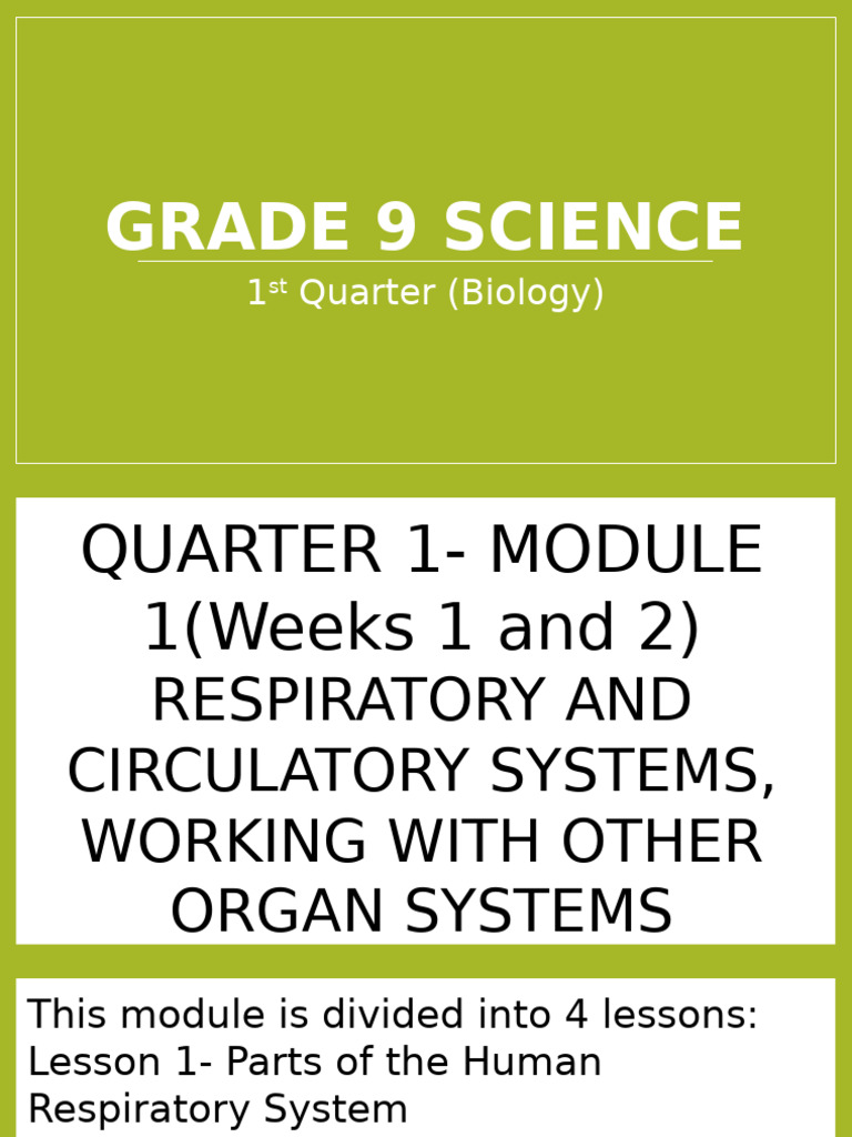 Grade 9 Biology: Respiratory & Circulatory Systems | PDF | Respiratory ...