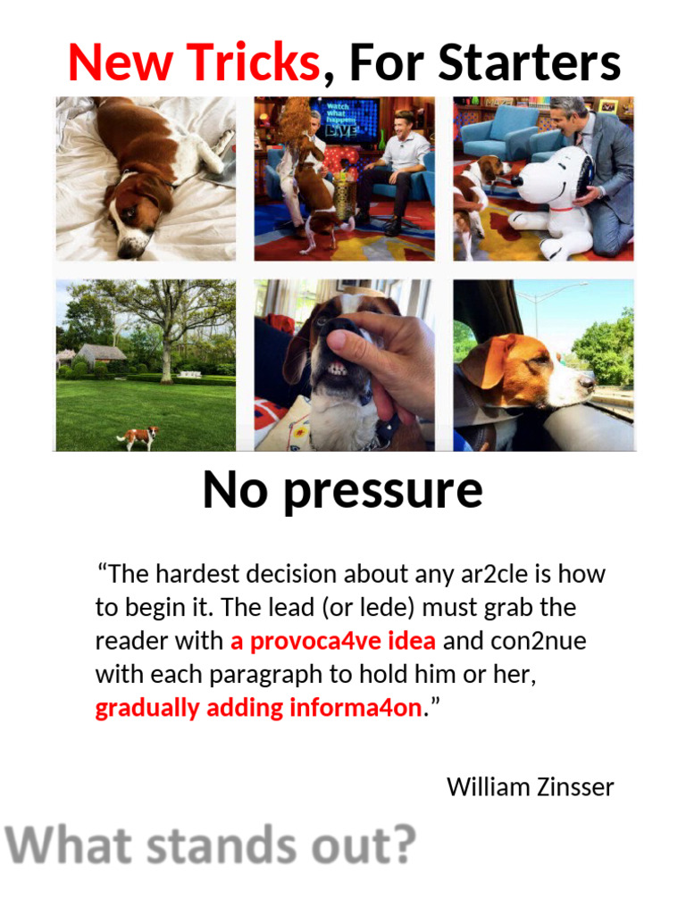 Crafting Compelling Article Leads | PDF