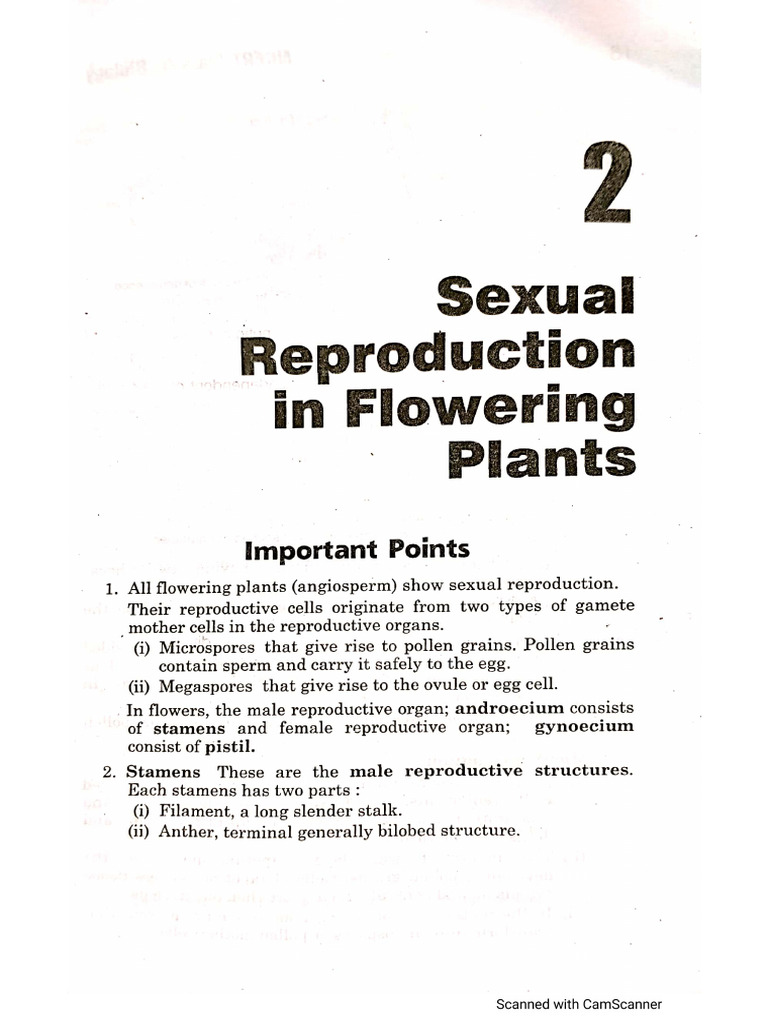 Sexual Reproduction in Flowering Plants | PDF
