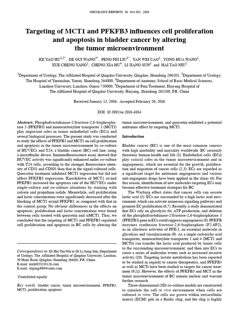 Bladder Cancer, Quercetin, MCTs Blockage | PDF | Western Blot | Angiogenesis