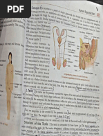 CFQ ISC Computer Science XII | PDF