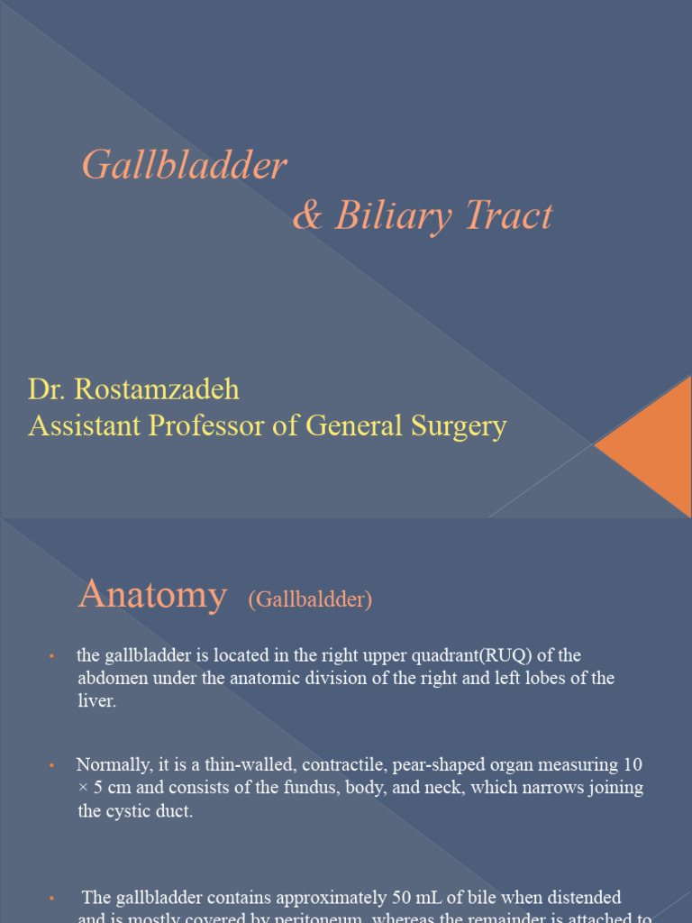 Gallbladder (Medical Student Class) | PDF | Gallbladder | Liver