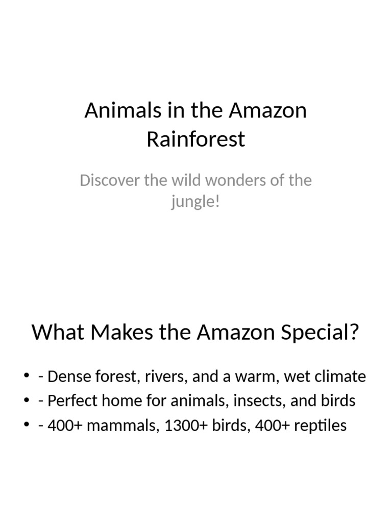 Animals of the Amazon Rainforest | PDF