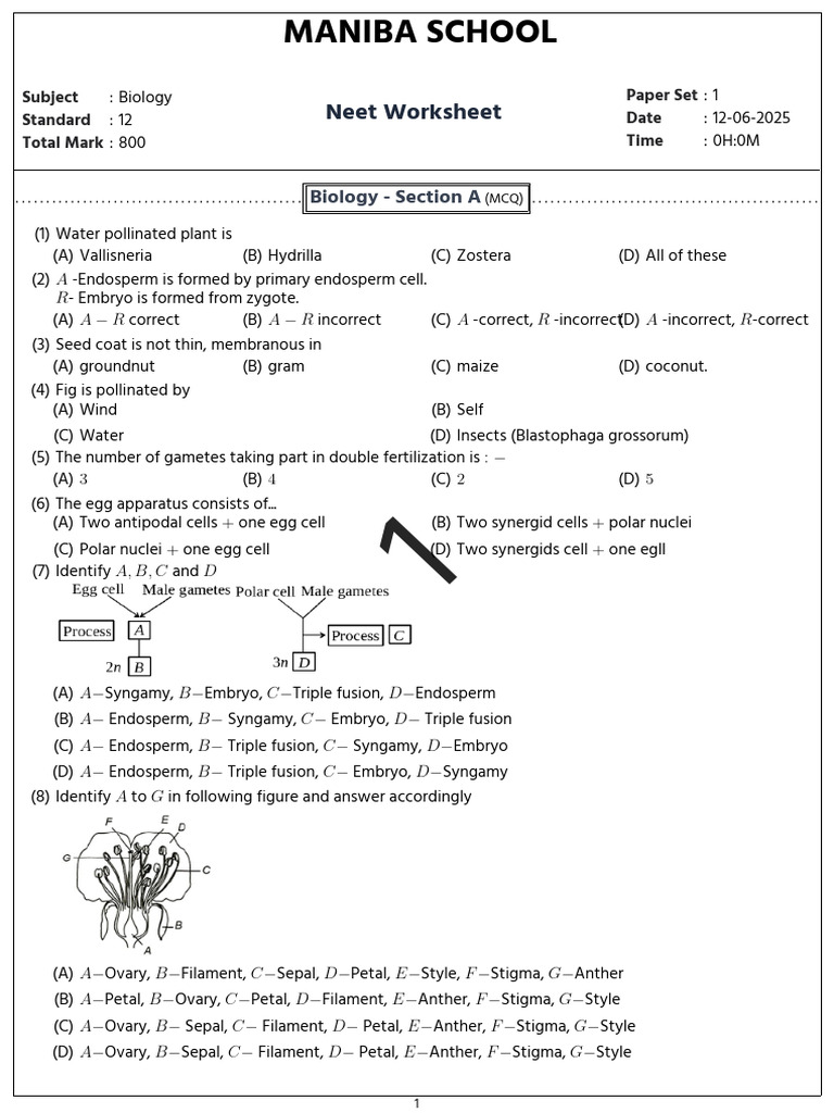 Neet Worksheet 1749709581 | PDF | Flowers | Seed