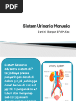 Pemahaman Tractus Urinaria dan Fisiologinya | PDF