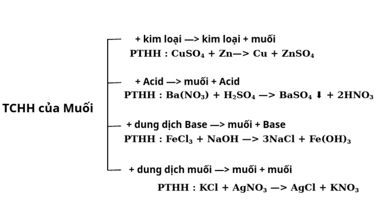 Bản Sao Của TCHH Của Acid PDF | PDF