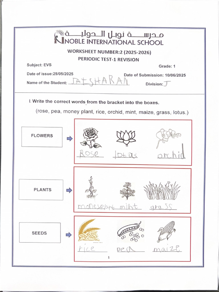 EVS Worksheet 2 - PT1 Revision | PDF
