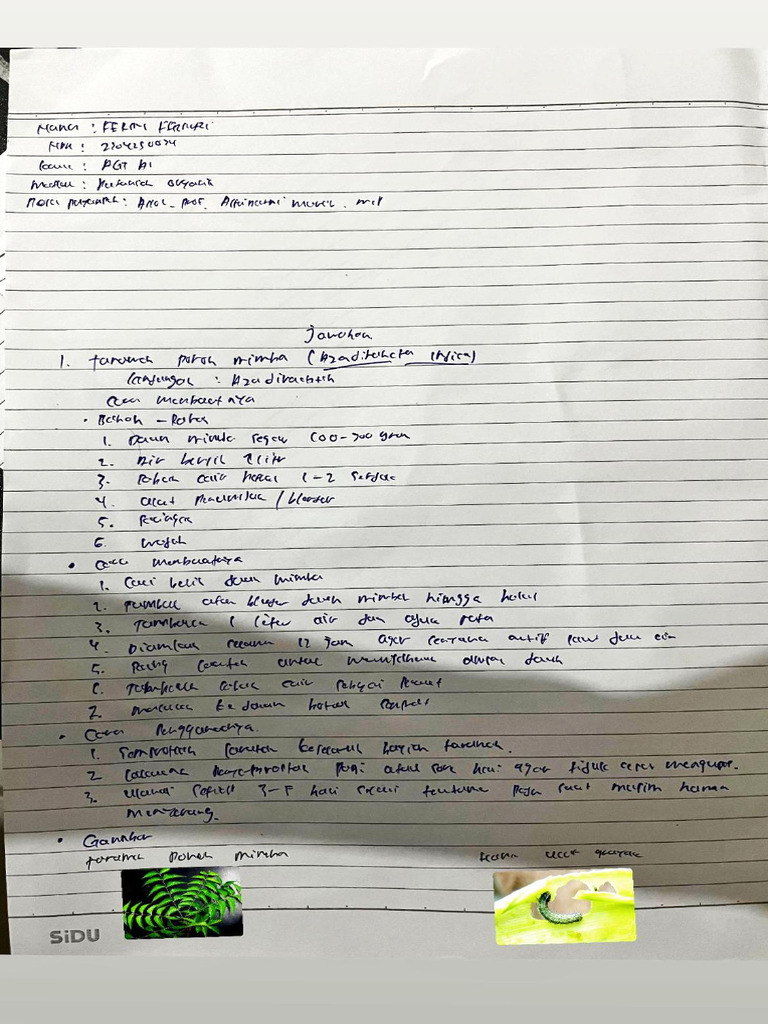 Tugas PO Ferry Biofarmaka | PDF