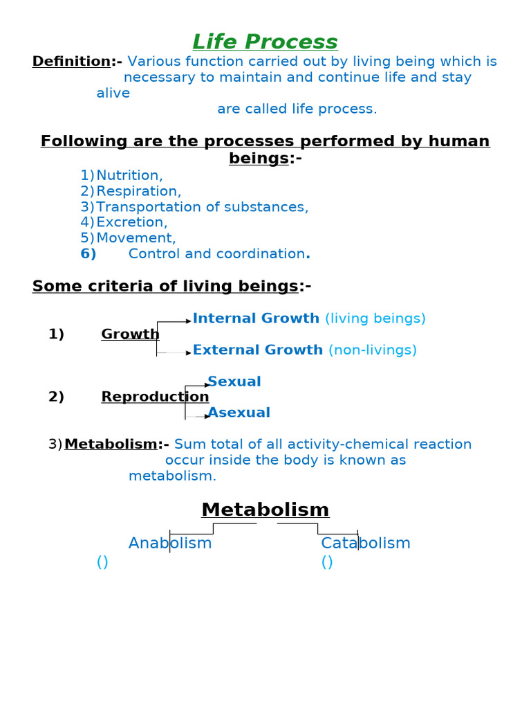 Human Life Processes Explained | PDF