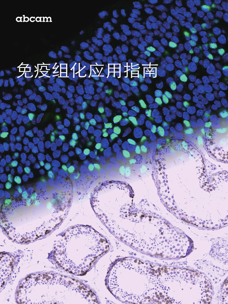 New IHC Application Guide 0911 Abcam | PDF